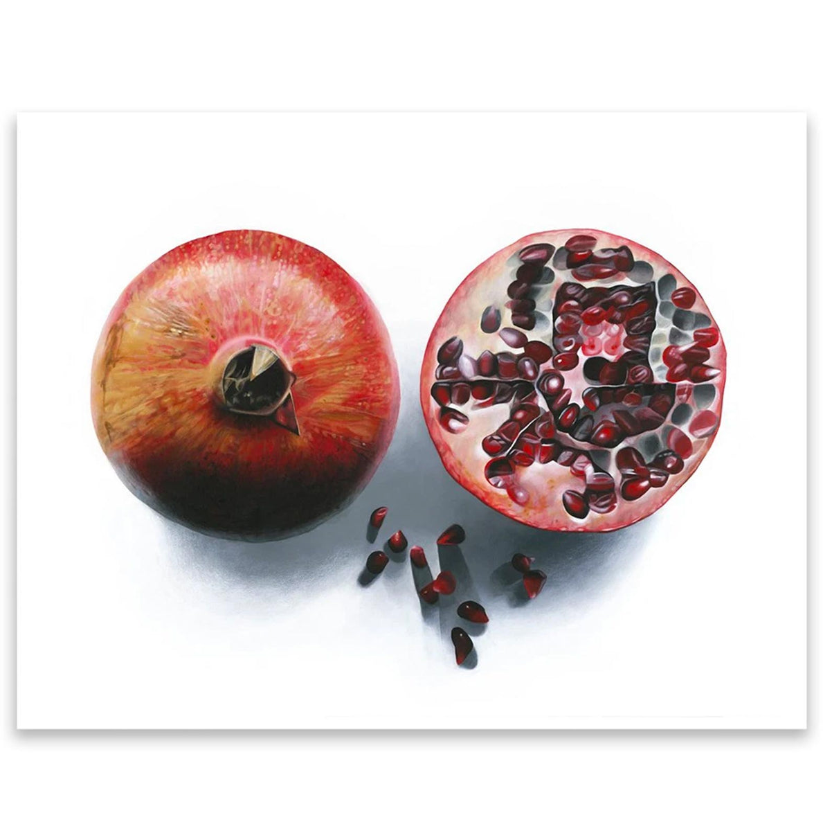 Pomegranate | Limited Edition Print | Erin Rothstein – Art by Erin ...