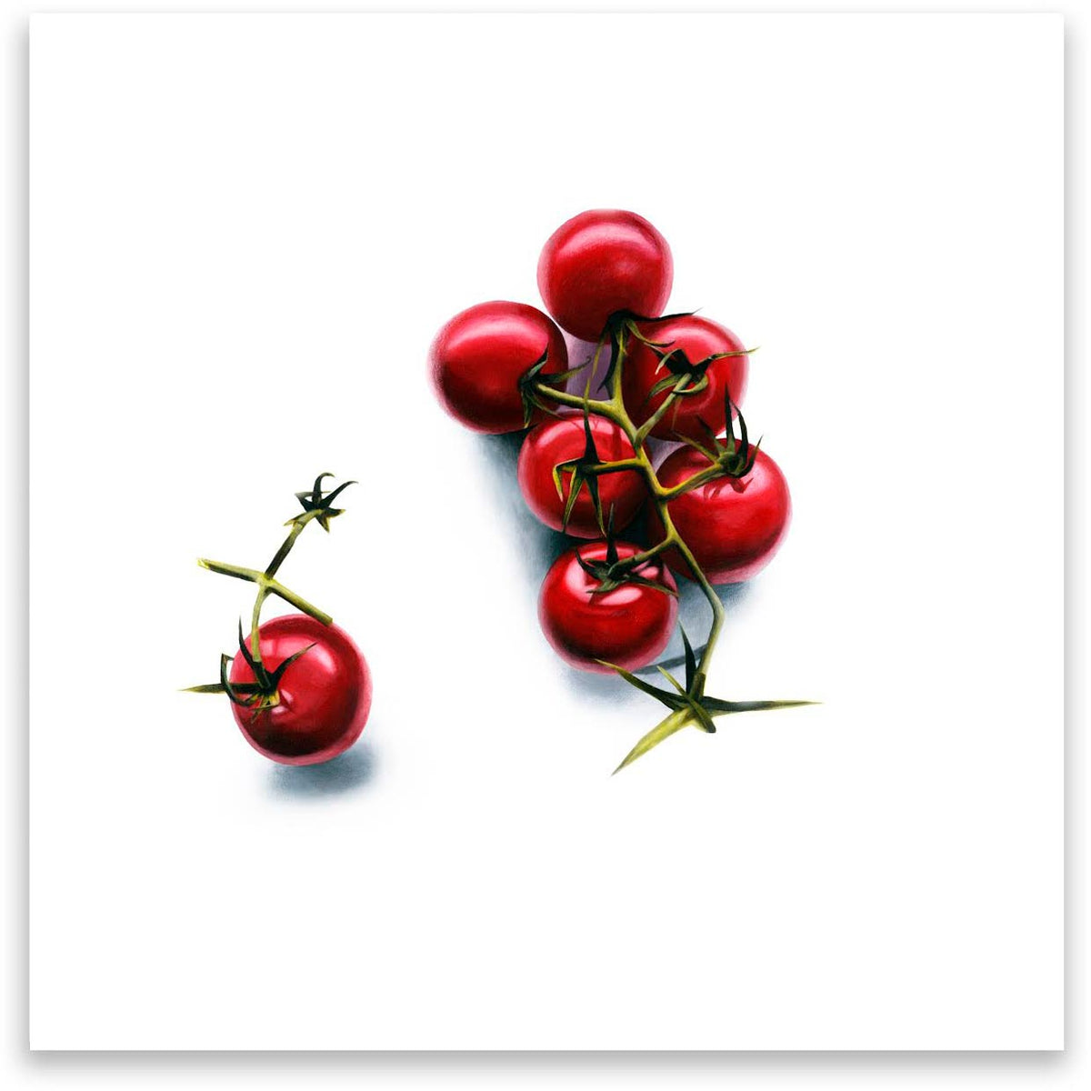 Tomatoes | Limited Edition Print | Erin Rothstein – Art by Erin Rothstein